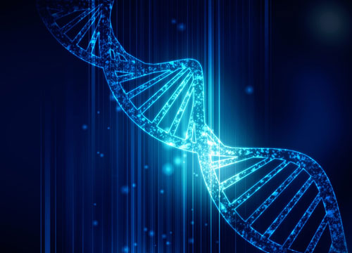 Real-World Data in Life Sciences: From Possibility to Proof ...